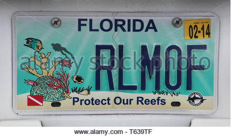 Florida license plate; vehicle registration number. Florida Sunshine ...