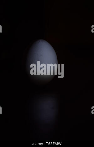Egg under single light source Stock Photo - Alamy