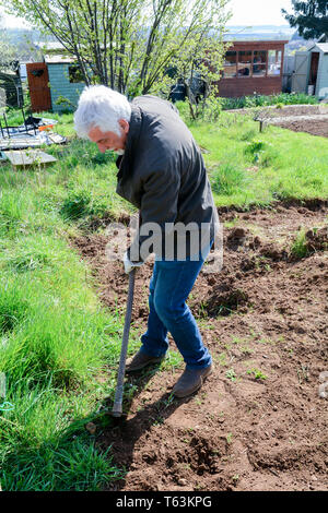 Man preparing ground to grow own vegetables in an allotment garden ...