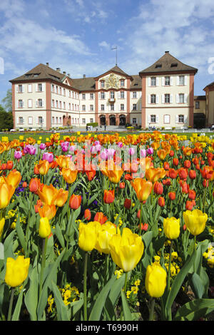 Mainau Island, Germany, the garden of the Baroque Palace overlooking ...