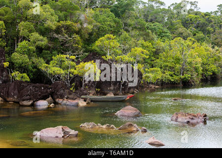 Landscape of Masoala National Park, Madagascar Stock Photo - Alamy