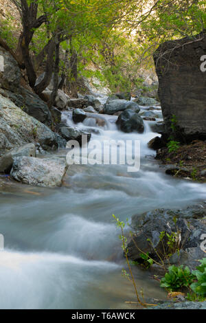 darakeh river, tehran, iran Stock Photo - Alamy