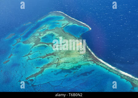 View of coral reef in Sharm El Sheik, Egypt Stock Photo - Alamy
