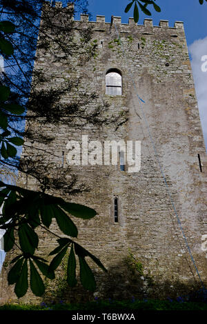 Mallow Castle, Ireland Stock Photo - Alamy