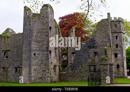 Mallow Castle, Ireland Stock Photo - Alamy