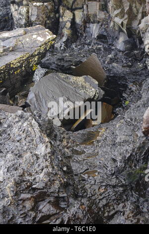 Igneous Sill, Columnar Basalt Geology at Brothers Point (Rubha nam ...