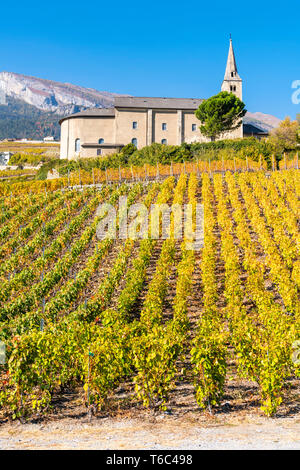 Conthey, Switzerland, Europe, canton, Valais, vineyard, shoots Stock ...