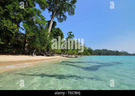 Lalaji beach at Long Island, Andaman and Nicobar Islands, India Stock ...
