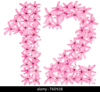 Numeral 12, twelve, from natural pink flowers of almond tree, isolated ...