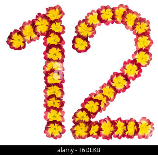 Numeral 12, twelve, from natural pink flowers of almond tree, isolated ...