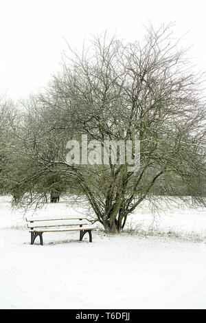 Iced bench in the park Stock Photo - Alamy