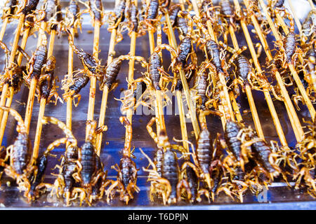 Chengdu, Sichuan province, China : Skewered scorpions and insects ...