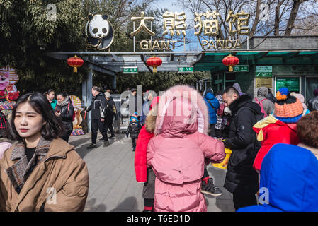 Entrance of the Panda House, Beijing Zoo, China Stock Photo - Alamy