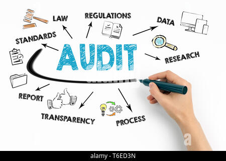 Audit concept. Chart with keywords and icons Stock Photo - Alamy