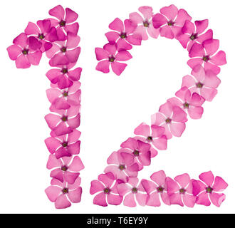 Numeral 12, twelve, from natural pink flowers of almond tree, isolated ...