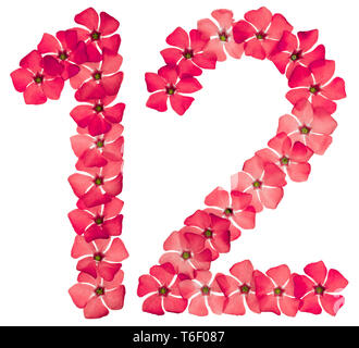Numeral 12, twelve, from natural pink flowers of almond tree, isolated ...