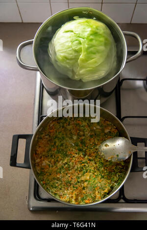Homemade raw stuffed cabbage with meat for cooking Stock Photo - Alamy