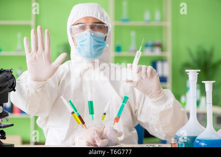 The lab assistant testing gmo chicken Stock Photo - Alamy