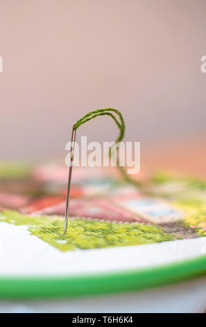 The embroidery hoop with canvas and bright sewing threads for ...