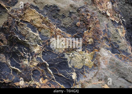 Intrusive Basalt Geology at St Monans, Fife, Scotland, UK. Natural ...