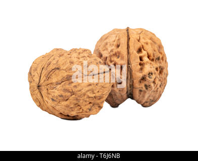 Two dry large walnuts on white background Stock Photo - Alamy
