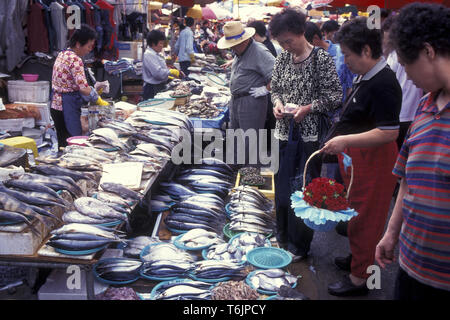 SOUTHKOREA SEOUL MARKET FISH Stock Photo - Alamy