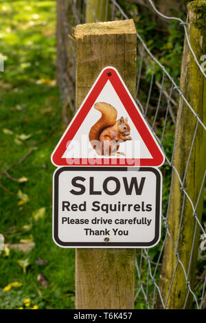 RED SQUIRREL ROADSIDE WARNING SIGN HIGHLANDS SCOTLAND Stock Photo ...