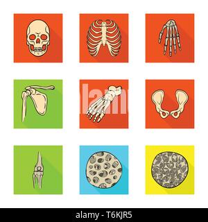skull,rib,wrist,femur,foot,hip,fiber,osteoporosis,death,cage,hand ...