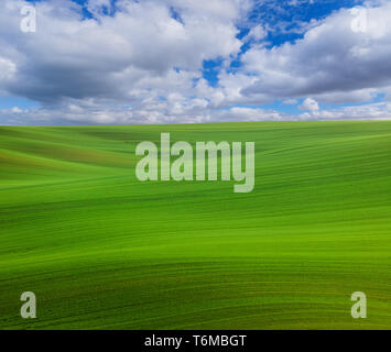 Famous moravian fields - Czech Republic Stock Photo - Alamy