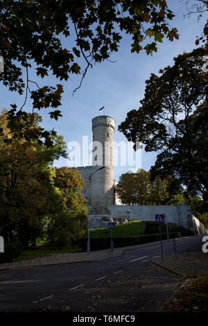 Tall Hermann tower in Tallinn Stock Photo - Alamy