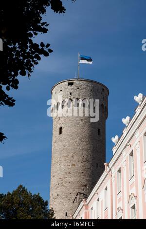 Tall Hermann tower in Tallinn Stock Photo - Alamy