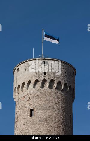 Tall Hermann tower in Tallinn Stock Photo - Alamy