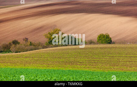 Famous moravian fields - Czech Republic Stock Photo - Alamy
