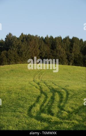 The Dome-shaped Hillocks at Kaika, Karula Nature Reserve Stock Photo ...