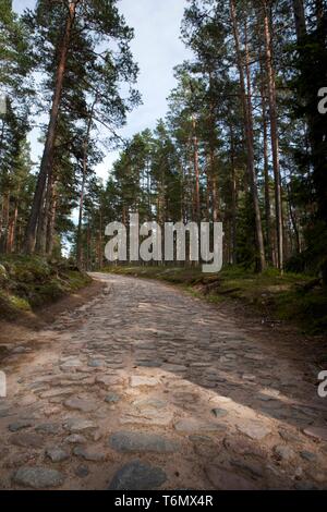 Cobbled road through a forest Stock Photo - Alamy