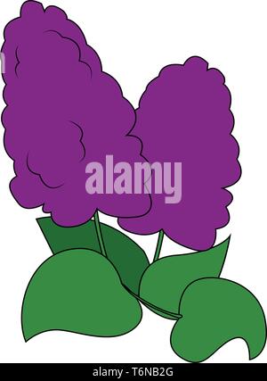 lilac flowers branch Stock Vector Image & Art - Alamy