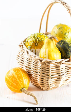 Pile of White Mini Pumpkins Stock Photo - Alamy