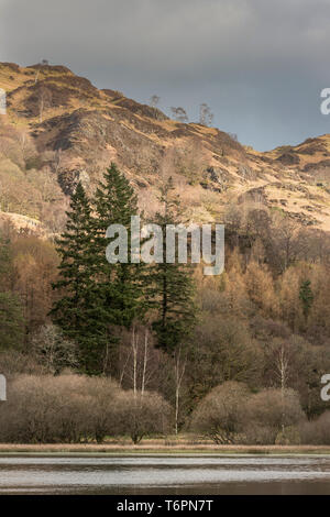 Beautiful Spring landscape image of Yew Tree Tarn in UK Lake District ...