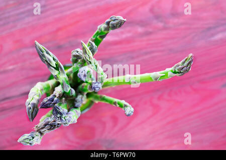 natural green background with selective focus, plants backgrounds Stock ...