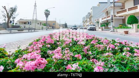 Flowers arrangement and roundabouts in Malta and Gozo Stock Photo - Alamy