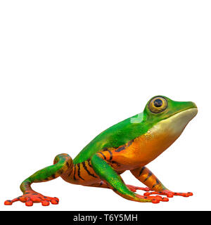 amazon tiger frog in a white background will put some fun in yours ...