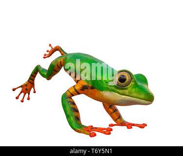 amazon tiger frog in a white background will put some fun in yours ...