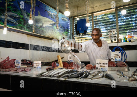Shop selling fish in Kandy, Sri Lanka Stock Photo - Alamy