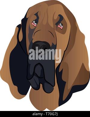 bloodhound vector icon isolated on transparent background, bloodhound ...