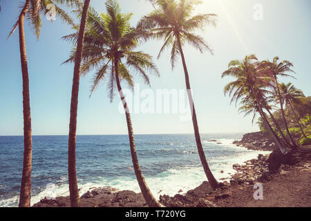 Amazing hawaiian beach. Wave in ocean at sunset or sunrise with surfer ...