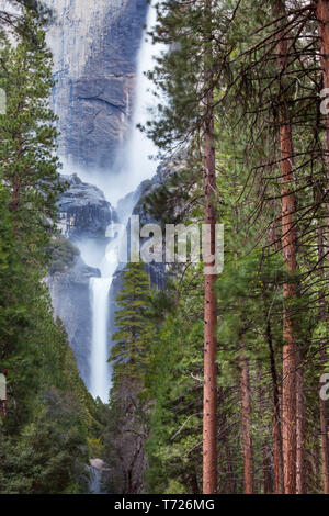 A scenic view of the Lower Yosemite Fall in Yosemite Valley, Mariposa ...