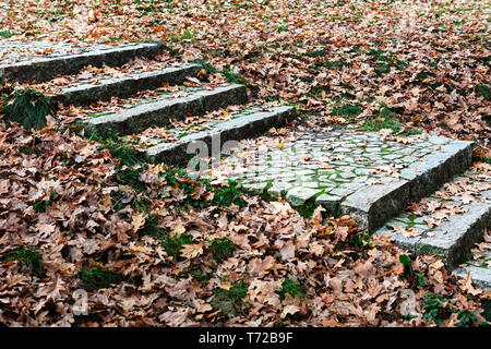 stair path through fall colored leaves Stock Photo - Alamy