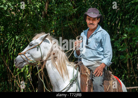 horse carrying heavy load in Tayrona National Park, Colombia, South ...