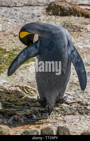 Photo by: Darren Wordley Stock Photo - Alamy
