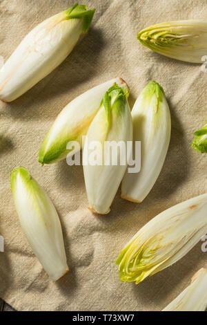 Raw Organic Belgian Endive Ready to Eat Stock Photo - Alamy